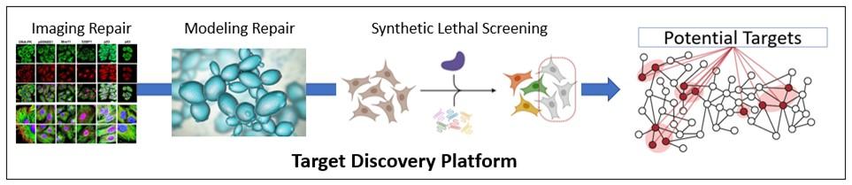 Current & Future Resources | Robson DNA Science Centre Research | Arnie ...